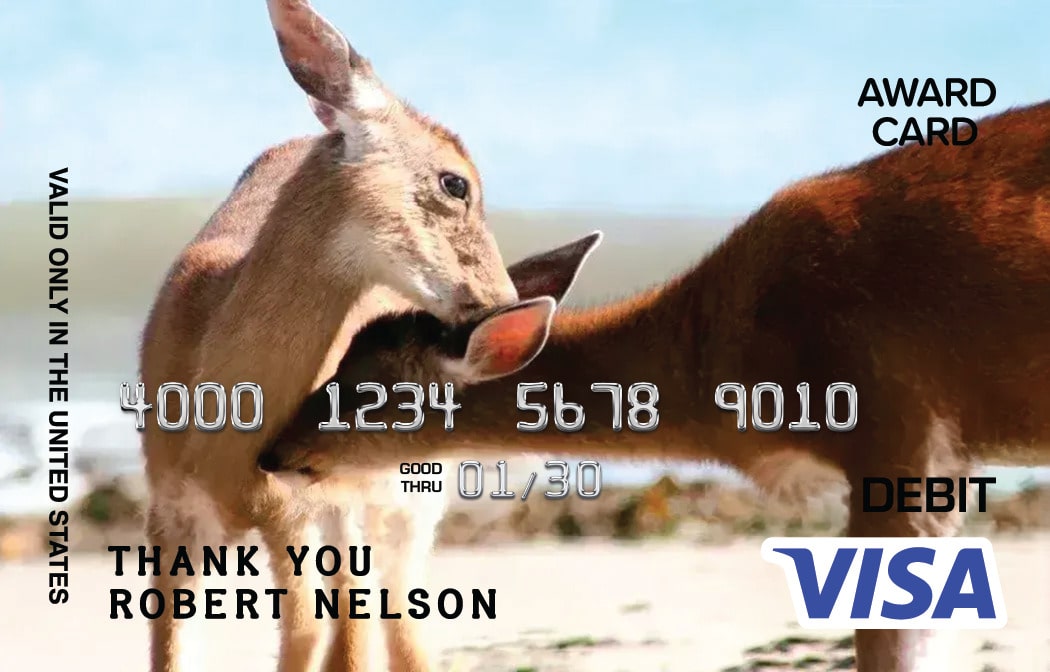 Custom Prepaid Debit Card, Visa Gift Card Designs - Awards2Go